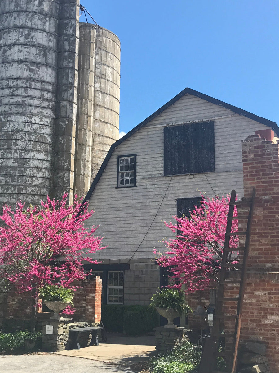 Creating Spring – Chartreuse & co