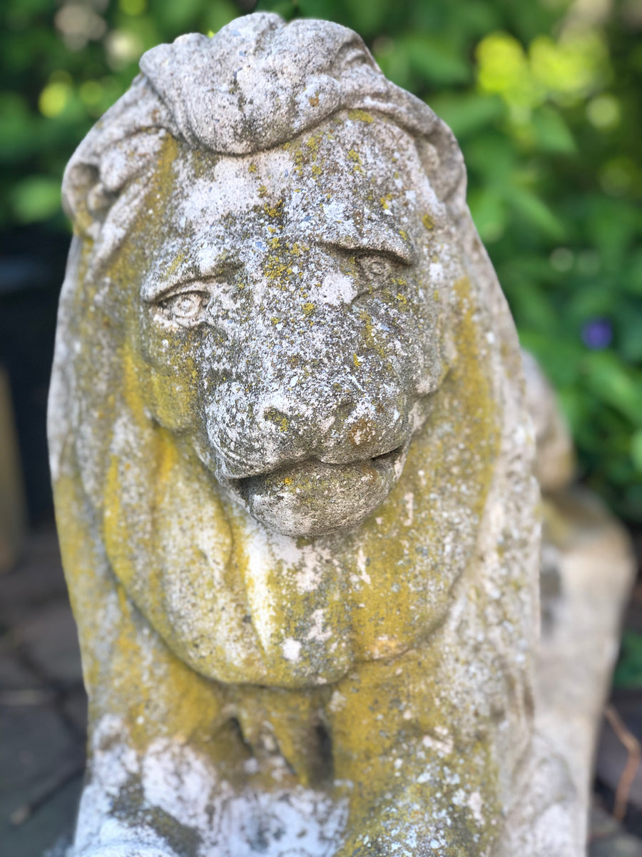 Vintage Concrete Lion Statue – Chartreuse & co