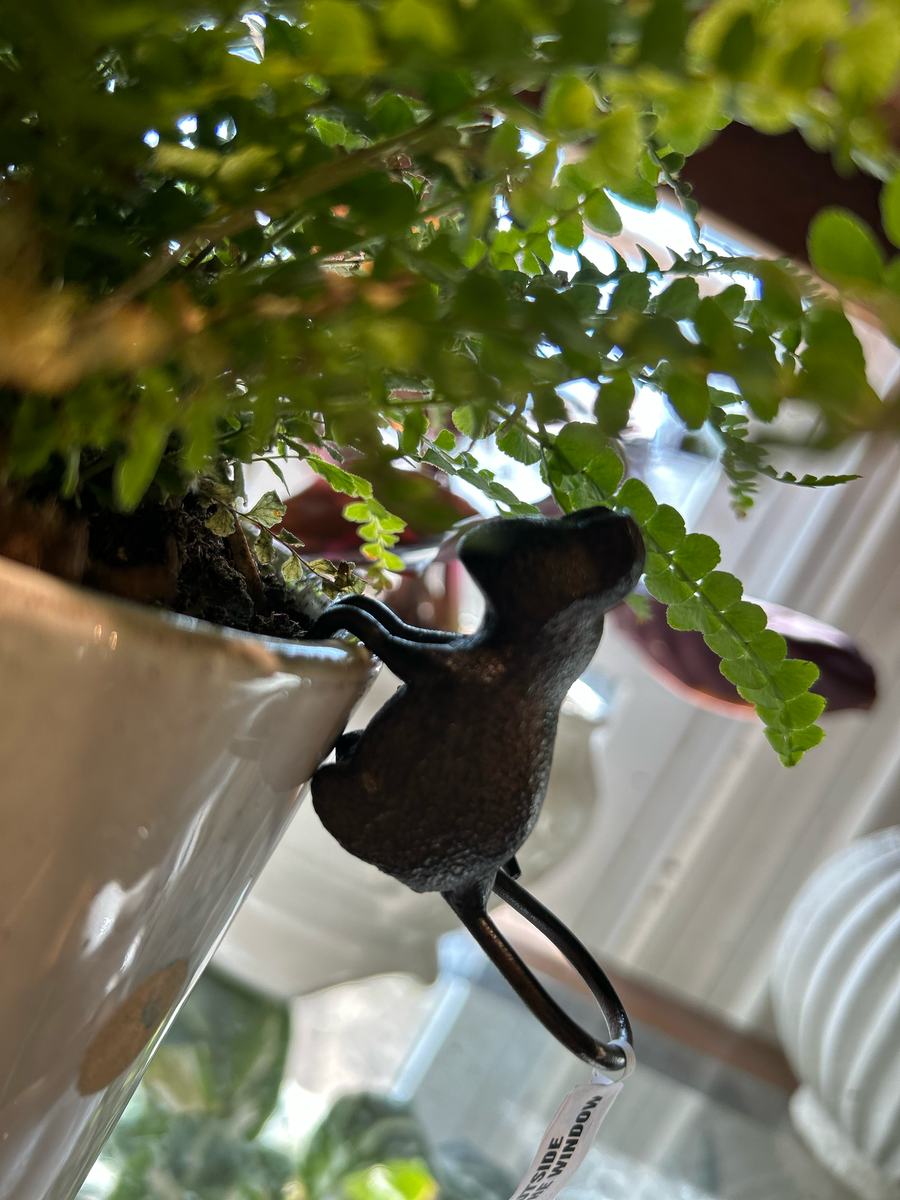 Mouse Plant Pot Hangers – Chartreuse & co